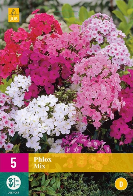 Phlox Mix - Vlammenbloem Les Bulbes a Fleurs
