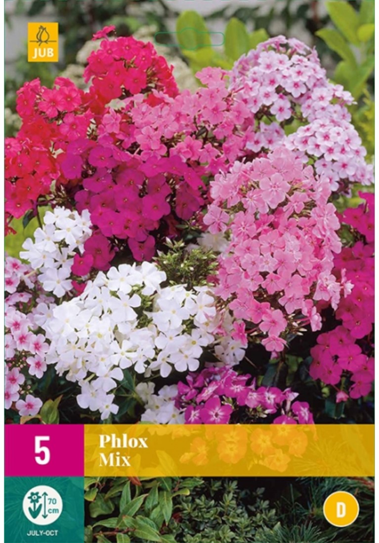 Phlox Mix - Vlammenbloem Les Bulbes a Fleurs