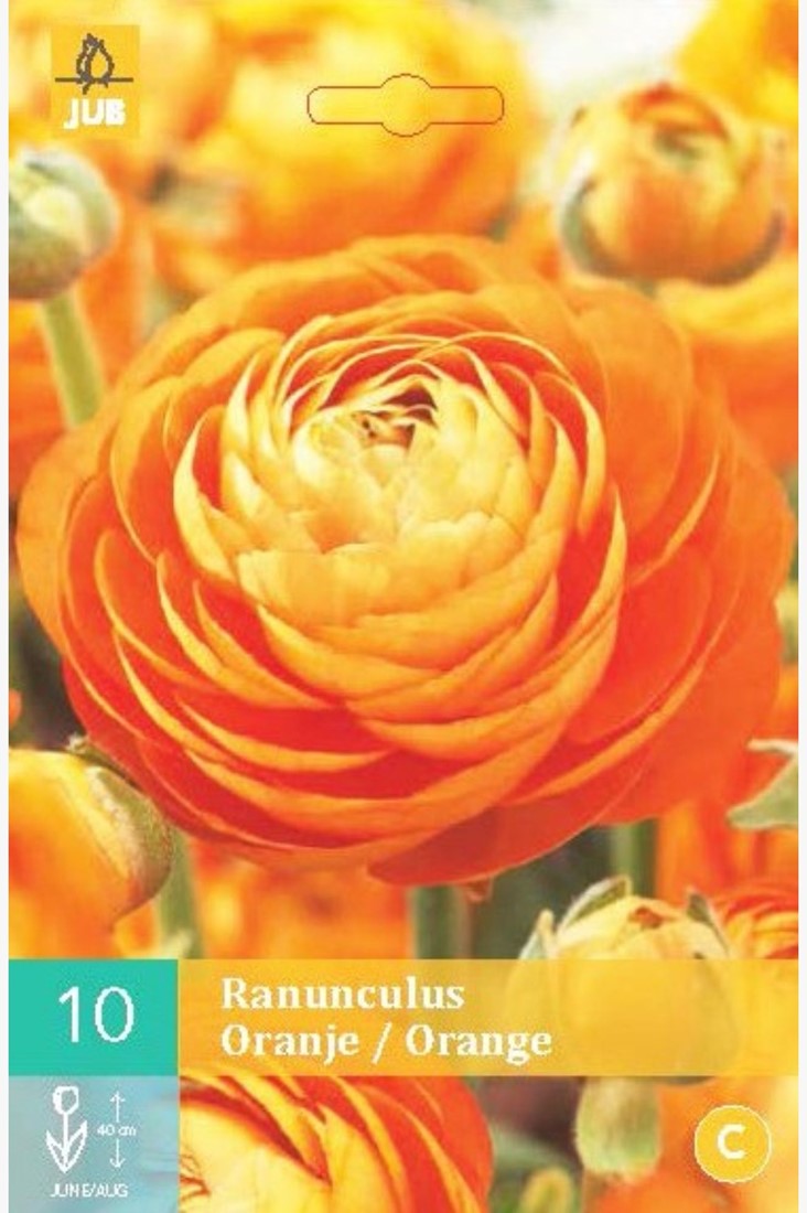 Ranonkel Oranje - Ranunculus dubbel Les Bulbes a Fleurs