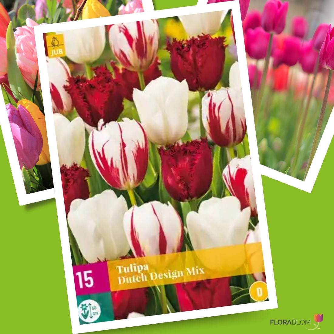 Tulpen Dutch Design Mix - Tulipa Les Bulbes a Fleurs